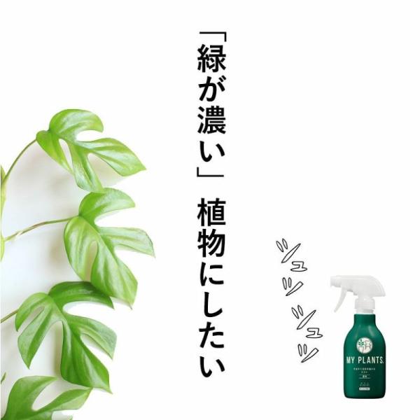 【お届け内容】スプレー式肥料（250ml）【適用植物と使用頻度】■観葉植物（週に1〜2回）■多肉植物（月に1回）【特徴】■効果・植物を元気に、葉の色を鮮やかに・活力成分（酵母抽出物）の効果で土壌改良作用、根張りの充実が期待できます■与えやす...
