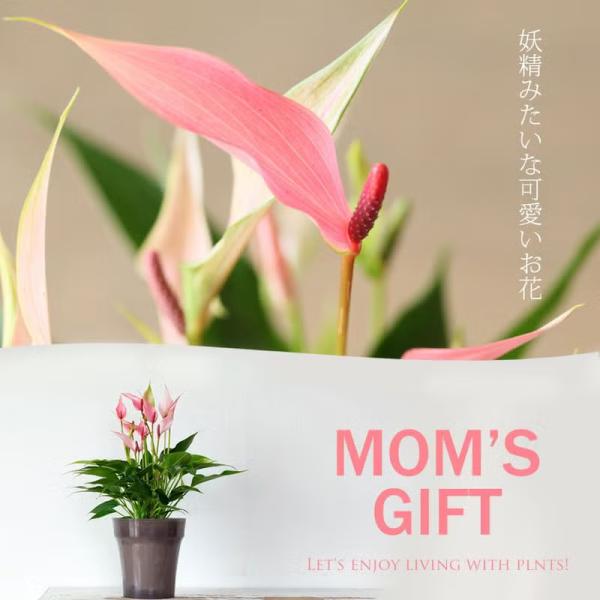 インテリア 植木鉢 受け皿 植え替え 方法 器 屋内 屋外 置台 おしゃれ 面白い 飾る 鉢 カバー 簡単 外用 プレゼント 種類 一覧 サイズ 丈夫 セット 育成 台 卓上 小さい 小さめ テーブル 手入れ 陶器鉢 名前一覧 肥料 日陰 ...