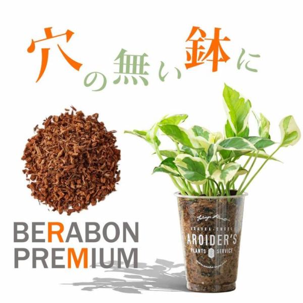 インテリア 植木鉢 受け皿 植え替え 方法 器 屋内 屋外 置台 おしゃれ 面白い 飾る 鉢 カバー 簡単 外用 プレゼント 種類 一覧 サイズ 丈夫 セット 育成 台 卓上 小さい 小さめ テーブル 手入れ 陶器鉢 名前一覧 肥料 日陰 ...