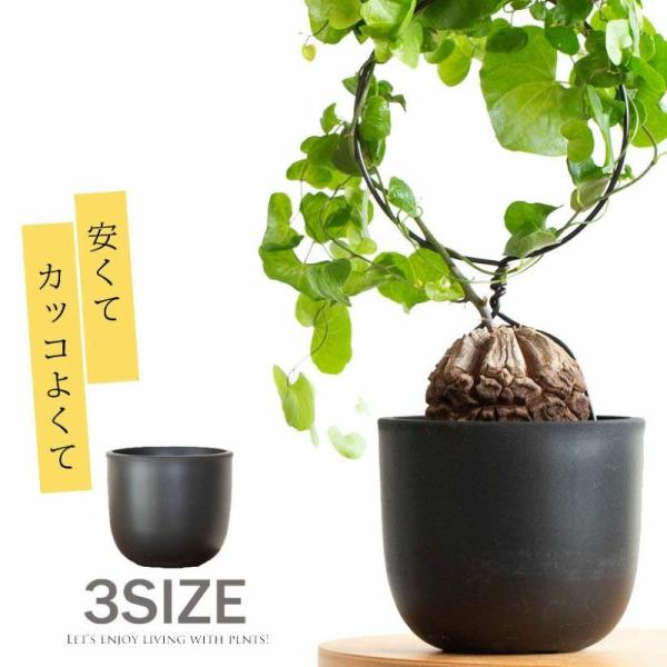 インテリア 植木鉢 受け皿 植え替え 方法 器 屋内 屋外 置台 おしゃれ 面白い 飾る 鉢 カバー 簡単 外用 プレゼント 種類 一覧 サイズ 丈夫 セット 育成 台 卓上 小さい 小さめ テーブル 手入れ 陶器鉢 名前一覧 肥料 日陰 ...