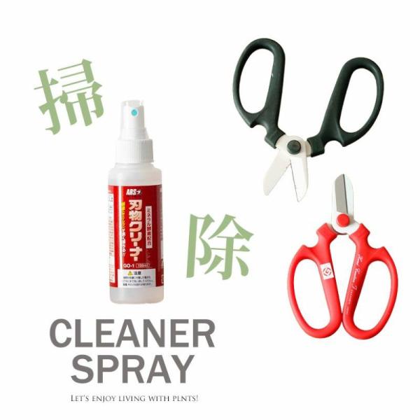 インテリア 植木鉢 受け皿 植え替え 方法 器 屋内 屋外 置台 おしゃれ 面白い 飾る 鉢 カバー 簡単 外用 プレゼント 種類 一覧 サイズ 丈夫 セット 育成 台 卓上 小さい 小さめ テーブル 手入れ 陶器鉢 名前一覧 肥料 日陰 ...