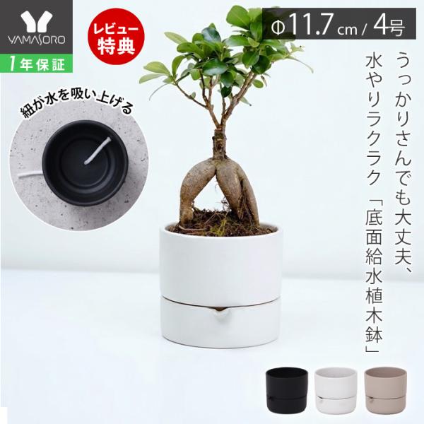 底面給水機能付きで水やりの手間を軽減し、初心者でも育てやすい4号サイズの植木鉢。コンパクトサイズでインテリアに取り入れやすく、マットでシックなカラーバリエーションは飾る場所や植える植物を選びません。観葉植物や多肉植物、ハーブの栽培におすすめ...