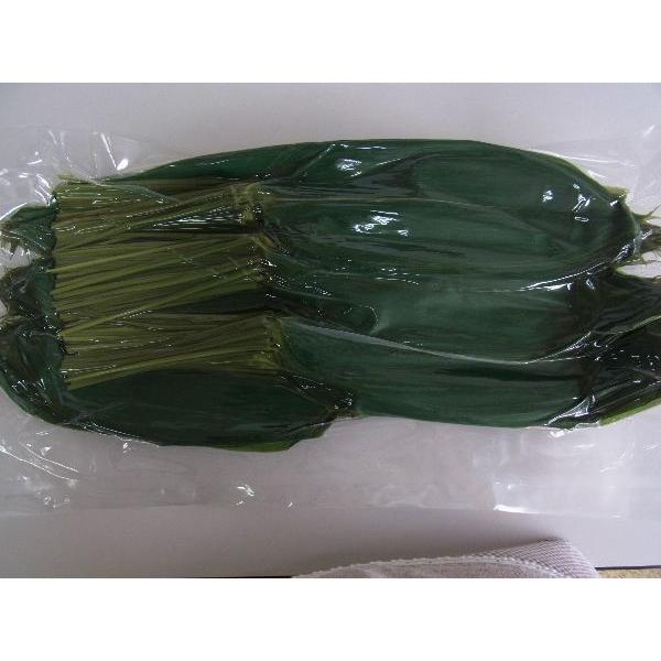 端午の節句に欠かせないちまき用に最適！<br>きれいな軸付き青笹です<br>