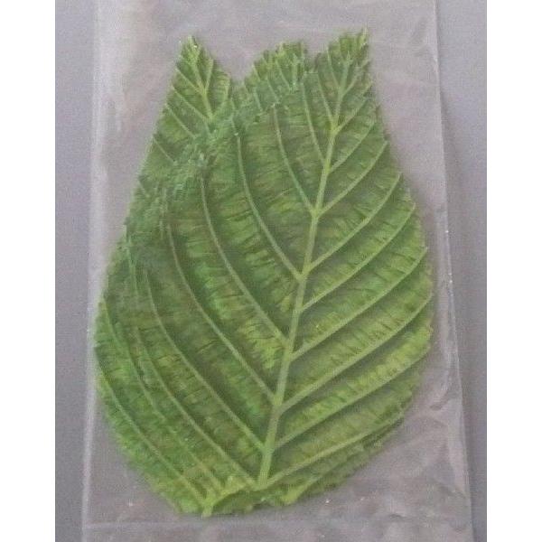 人工桜葉柄インキは、食品包装材料用印刷インキを使用しておりますが、印刷が落ちる場合がございますので、印刷面（色の濃い方）は直接製品に触れないようにしてください。製品に接触させる場合には、裏面（色の薄い方）を触れるようにご使用ください。■配送...