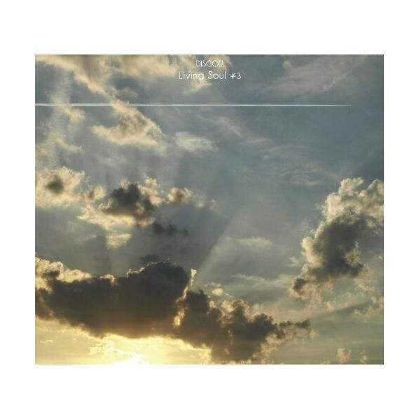【発売日：2012年11月21日】DISCO2 (ディスコツー でぃすこつー)2012年11月21日 発売メロウ&amp;ジャジー・トラック満載の『living soul』シリーズ第3弾。ヒップホップの大ネタをDISCO 2流に再構築した究...