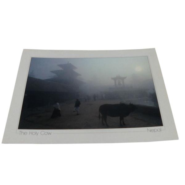 ネパールの聖なる牛素朴な風景でとてもきれいな写真プリントのポストカードです。■全体の大きさ縦:10cm　横：15cm重さ：5gサイズには誤差があります予めご了承の上でご購入ください。■ご注意点アジアのポストカードです。経年劣化等により四隅の...