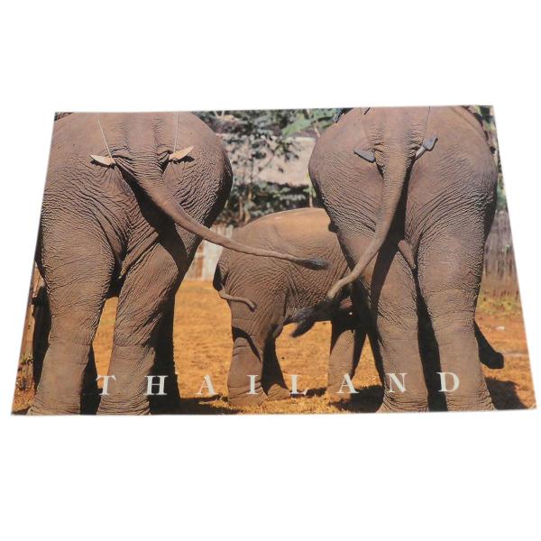 タイのアニマル写真をプリントしたポストカード独特の空気感と可愛い動物です。面白いポストカードです。■全体の大きさゾウさんのおしり縦:15.5cm 横:10.5cm重さ:5.0g■ご注意点アジアのポストカードです。経年劣化等により四隅の角がつ...
