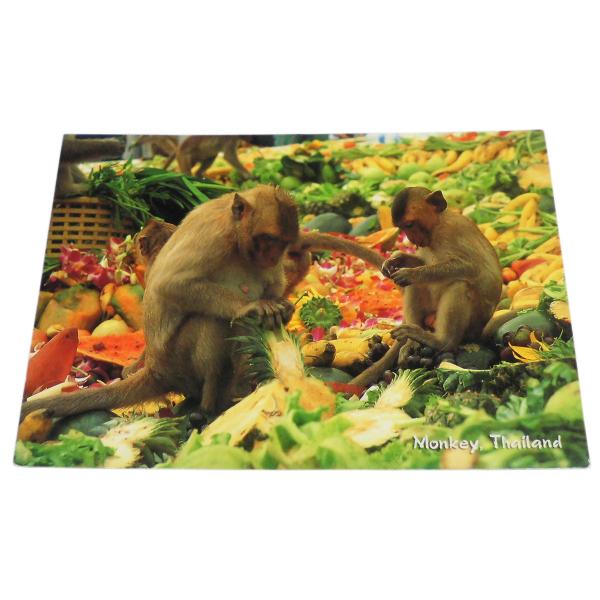 タイのアニマル写真をプリントしたポストカード独特の空気感と可愛い動物です。面白いポストカードです。■全体の大きさモンキータイランド縦:15cm 横:10.5cm重さ:5.0g■ご注意点アジアのポストカードです。経年劣化等により四隅の角がつぶ...