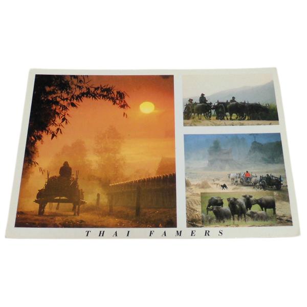 タイの美しい自然や水上マーケットなどのとてもきれいな写真プリントのポストカードです。■全体の大きさ縦:15.5cm 横:10.5cm重さ:5.2g■ご注意点アジアのポストカードです。経年劣化等により四隅の角がつぶれている裏面の薄い黄ばみが見...