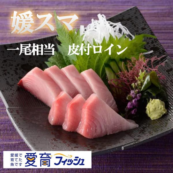 養殖スマ(媛スマ)冷凍皮付ロイン　２パック/箱　愛媛 定番 お土産 ギフト 贈り物 プレゼント 贈答品 御中元 お中元 御歳暮 お歳暮