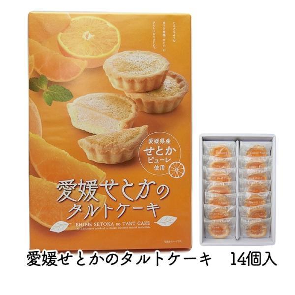 (株)名所堂　愛媛せとかのタルトケーキ（大）とろける甘さの柑橘・せとかを使ったタルトケーキ！