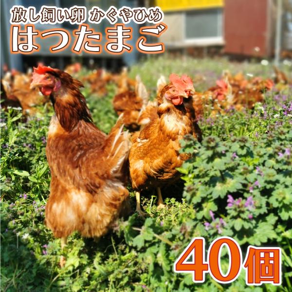長閑な田んぼの真ん中に鶏舎があります朝晩は、平飼いにしている鶏舎の中で仲良くのんびりと生活しています餌には、とうもろこしや植物性油粕などが入った配合飼料に卵特有の生臭みを消す成分のある「地養素(海藻・ヨモギ・木酢液などを原料とするサプリ)」...