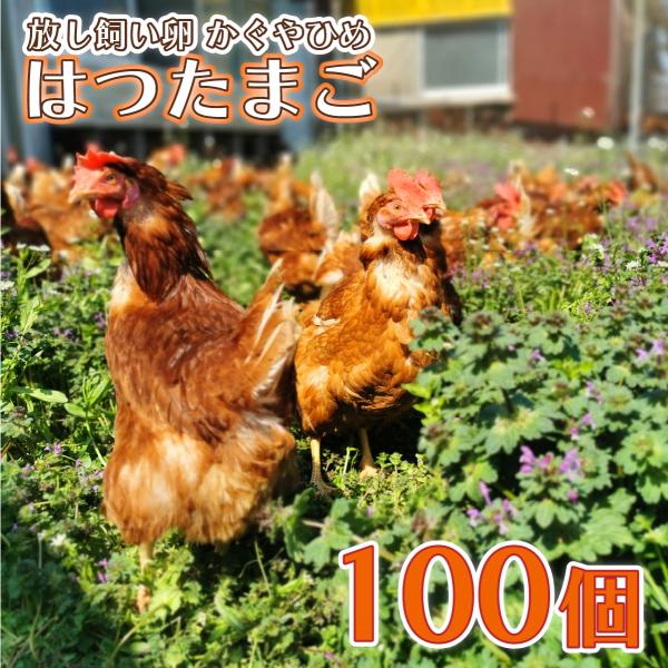 長閑な田んぼの真ん中に鶏舎があります朝晩は、平飼いにしている鶏舎の中で仲良くのんびりと生活しています餌には、とうもろこしや植物性油粕などが入った配合飼料に卵特有の生臭みを消す成分のある「地養素(海藻・ヨモギ・木酢液などを原料とするサプリ)」...