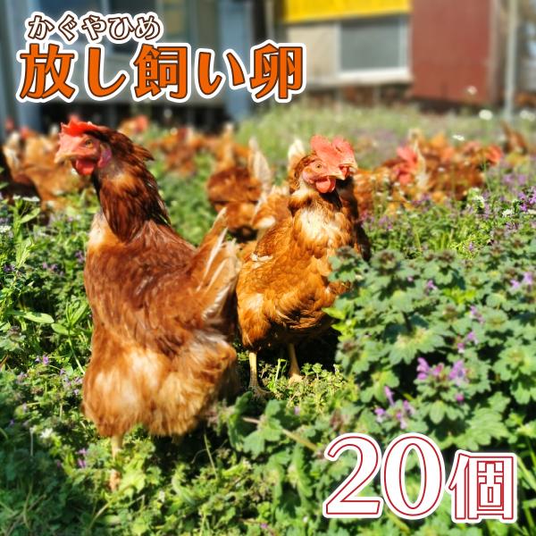 長閑な田んぼの真ん中に鶏舎があります朝晩は、平飼いにしている鶏舎の中で仲良くのんびりと生活しています餌には、とうもろこしや植物性油粕などが入った配合飼料に卵特有の生臭みを消す成分のある「地養素(海藻・ヨモギ・木酢液などを原料とするサプリ)」...