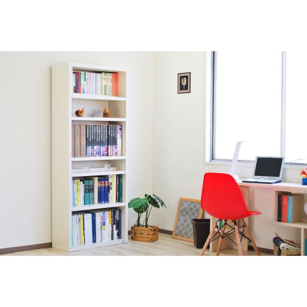 ●４色、４サイズからお選びいただけます。●ロータイプは上下に重ねて使うことができます。●チェストと組み合わせることもできます●前後２枚の棚板で、すごい収納力です。