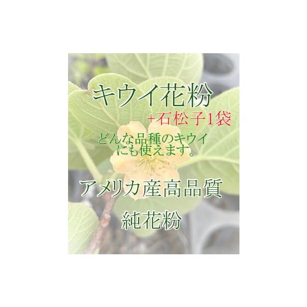 キウイ花粉です。緑肉、黄肉、赤肉。どんな品種でも授粉に使えます。一緒に、増量剤「石松子」を一緒にお送り致します。混ぜることで、粉の増量、受粉時の色付けにも役立ちます。☆1袋0.4ｇ。（この量で200〜400輪ほど対応できます。）☆石松子は１...