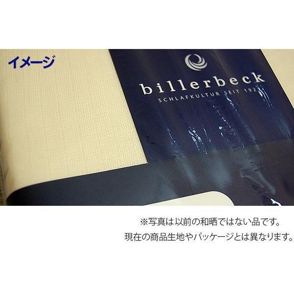 ※写真はイメージです。生地やパッケージは異なります。ビラベックの肌掛けふとん用カバー。ナチュラルな和晒ダブルガーゼ生地使用。和晒ダブルガーゼカバー (クイーン) 品番 WG-8C カラーナチュラル … /サイズ：QL 210×210cm、日...