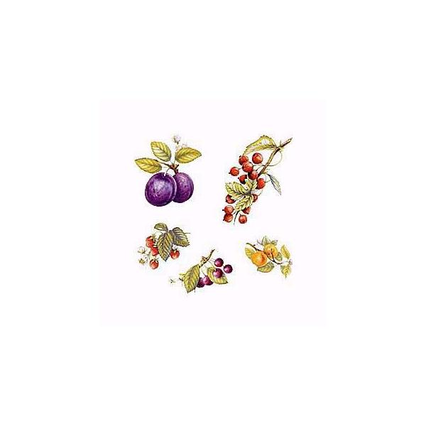 焼成温度・・・750〜800℃絵柄の印刷された転写紙で、絵柄を切り取って水に浸し（20〜30秒）、台紙から浮き上がった絵柄をスライドさせて、陶磁器に貼り付け焼成します。デコバージュにも利用できます。