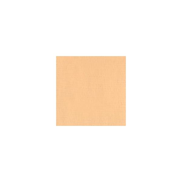 耐光性・・・・比較的堅牢な色鮮やかな色の表現に欠かさないガッシュ。 オペーク（不透明）の色彩が明快な表現を生み出します。アクリリック ガッシュは「色を重ねても下の色が溶けず、色が汚れない」「乾いたら水がかかっても流れない」など、制作が早く、...