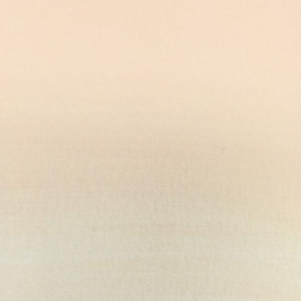 アキーラガッシュは、アクリル系ガッシュと同じように、 隠蔽力があり、デザインはもとより絵画など様々な用途にお使いいただけます。また、うっかり洗い忘れた道具類も、後日きれいに落とすことができる、 片づけがラクな絵具です。アキーラガッシュは、水...