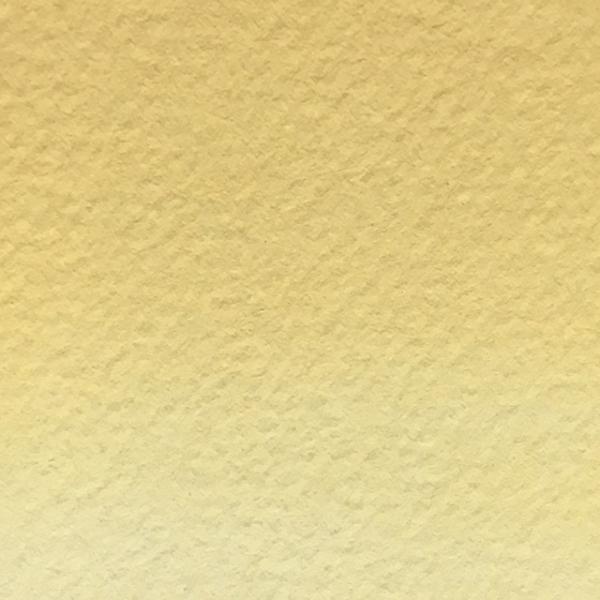 水彩絵具の魅力である明るい発色と、輝きのある透明感を 最大限に生かして作っています。また、日本画材に使用される顔料の色に近い名前を、 「和名」として各色に日本古来の色名として併記しています。「環境と人にやさしい絵具」として、カドミウムやコバ...