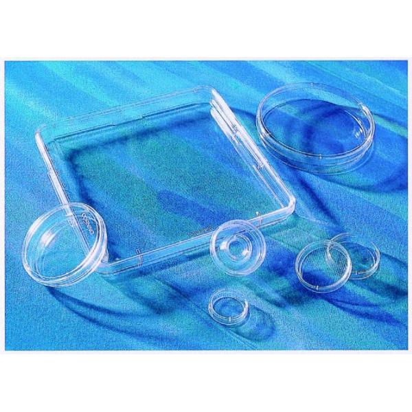 ■細胞培養ディッシュ ●透明なポリスチレンを使用しています。●ノンパイロジェニック、γ線滅菌済。●細胞培養ディッシュは最適の細胞培養表面処理が施されています。●仕様: 35mmディッシュ●外寸法(mm) φ35×10●培養面積(cm2): ...