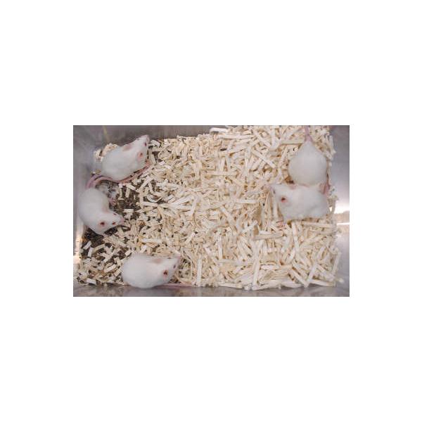 ■実験小動物用床敷材 パルマスμ 40kg入の特長●アスベンを原材料とした100％バージンパルプのみを使用した高い安全性。●多層構造によって吸収した尿などの水分を速やかに乾燥。アンモニアガスの発生を抑制し、乾燥状態を維持しますので7日間交換...