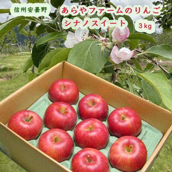 お届けは１０月中旬頃からになります。●サイズお任せ約3kgで8個〜9個【産直　長野県】【送料無料（沖縄は1000円）】【減農薬・無化学肥料】信州安曇野あらやファームの小林さんが大切に育てた無袋りんごです。つがるとふじの交配種で、大きくて、大...