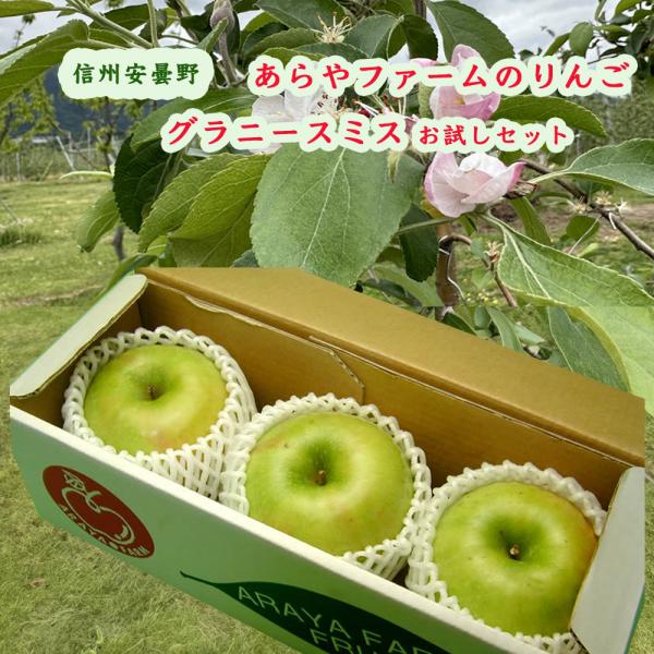 １２月ごろからの発送となります。【産直　長野県】【送料無料（北海道・沖縄は1000円）】 【減農薬・無化学肥料】あらやファーム小林さんのりんごの美味しさを実感して貰いたいのでお試しセットを作りました！３個入りでサイズはお任せとなります。信州...