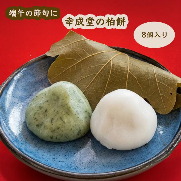 【幸成堂直送】端午の節句、子供の日のお祝いには欠かせない「柏餅」柏餅とは、上新粉とくず粉（片栗粉）を混ぜてつくった「しんこ餅」であんを挟み、柏の葉を二つ折りにして包んだお菓子の事です。  柏の葉は、新芽が出ないと古い葉が落ちないという特徴が...