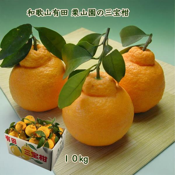 出荷開始は３下旬過ぎ頃からとなります。シーズンの終わり頃には、葉付きでお届けできない場合がございます。ご注文後に収穫いたします。雨が降ると収穫できませんので、お待たせする場合がございます。●産直和歌山県●送料無料（沖縄は1000円）三宝柑は...