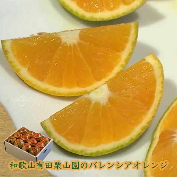 【送料無料（沖縄は1000円）】【産直和歌山県】安心の国産オレンジです。【最高級品】お中元にお薦めです。※出荷は６月中・下旬頃からになります。和歌山のバレンシアオレンジは不思議なオレンジです！花が咲くころ（5月）は薄いオレンジ色ですが、これ...
