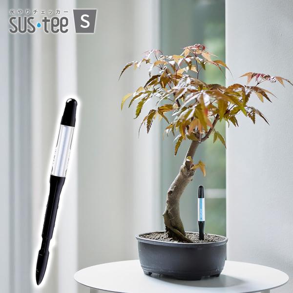 ※「外装なし・JANシールのみ」＼水やりの正解が一目でわかる！／植物を枯らしたくない思いから生まれた、水やりチェッカー SUStee (サスティー)。【こんな方におすすめ】・水やりのタイミングが分からない・気づいたら枯れてしまう・忙しくて毎...