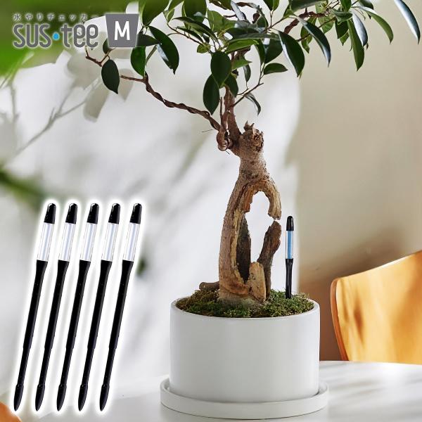 ※「外装なし・JANシールのみ」＼水やりの正解が一目でわかる！／植物を枯らしたくない思いから生まれた、水やりチェッカー SUStee (サスティー)。【こんな方におすすめ】・水やりのタイミングが分からない・気づいたら枯れてしまう・忙しくて毎...