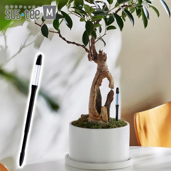 ※「外装なし・JANシールのみ」＼水やりの正解が一目でわかる！／植物を枯らしたくない思いから生まれた、水やりチェッカー SUStee (サスティー)。【こんな方におすすめ】・水やりのタイミングが分からない・気づいたら枯れてしまう・忙しくて毎...