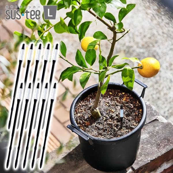 ※「外装なし・JANシールのみ」＼水やりの正解が一目でわかる！／植物を枯らしたくない思いから生まれた、水やりチェッカー SUStee (サスティー)。【こんな方におすすめ】・水やりのタイミングが分からない・気づいたら枯れてしまう・忙しくて毎...