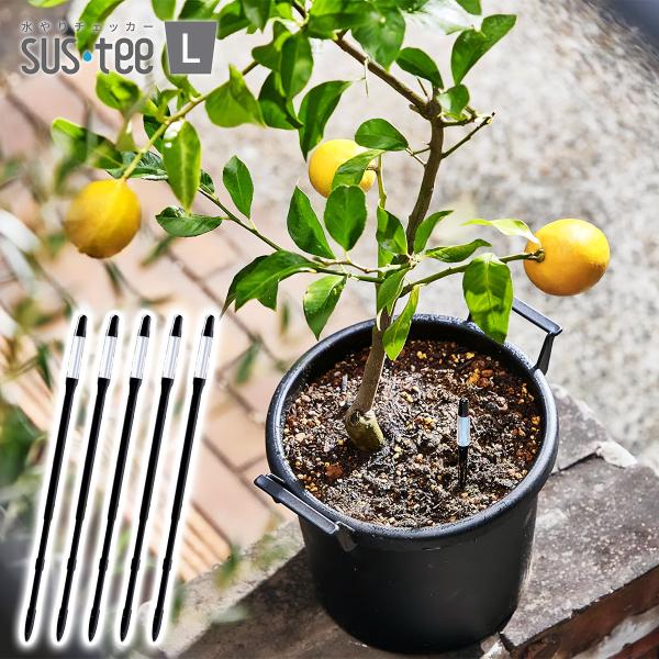 ※「外装なし・JANシールのみ」＼水やりの正解が一目でわかる！／植物を枯らしたくない思いから生まれた、水やりチェッカー SUStee (サスティー)。【こんな方におすすめ】・水やりのタイミングが分からない・気づいたら枯れてしまう・忙しくて毎...