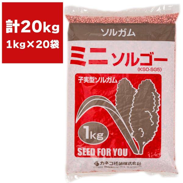 ※メーカーより直送品となります。当店から出荷される商品と一緒に購入された場合別途送料が発生致しますご了承ください。有効期限最低3カ月以上の商品を発送させていただきます。それ以下の期限になる場合、当店よりメールまたはお電話にてご連絡させていた...