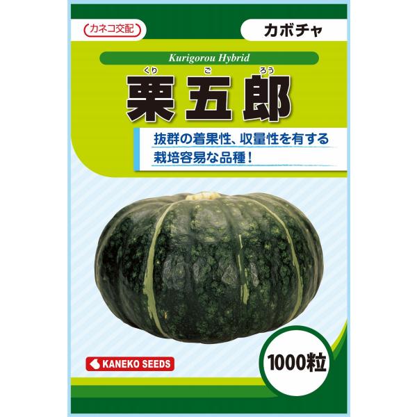 ※こちらは種子になります※メーカーより直送品となります。メーカー発注の際に欠品、今季終了の場合、出荷の遅れまたご注文の方をキャンセルさせていただく場合がございます。第四種便での発送のためお問い合わせ番号がなく追跡不可となります。商品はポスト...