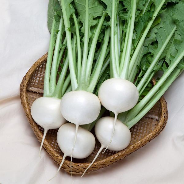 ※こちらは種子になります※メーカーより直送品となります。メーカー発注の際に欠品、今季終了の場合、出荷の遅れまたご注文の方をキャンセルさせていただく場合がございます。日時指定はご対応出来かねますのでご了承お願い致します。当店から出荷される商品...