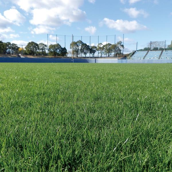 ※メーカーより直送品となります。当店から出荷される商品と一緒に購入された場合別途送料が発生致しますご了承ください。有効期限最低3カ月以上の商品を発送させていただきます。それ以下の期限になる場合、当店よりメールまたはお電話にてご連絡させていた...