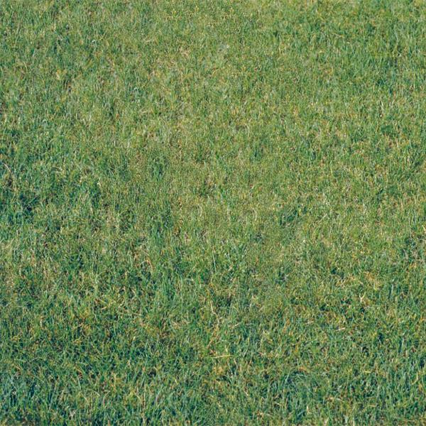 ※メーカーより直送品となります。当店から出荷される商品と一緒に購入された場合別途送料が発生致しますご了承ください。有効期限最低3カ月以上の商品を発送させていただきます。それ以下の期限になる場合、当店よりメールまたはお電話にてご連絡させていた...