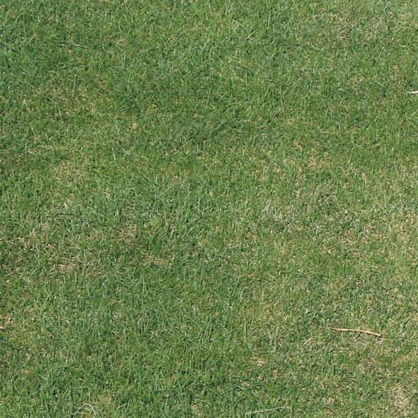 ※メーカーより直送品となります。当店から出荷される商品と一緒に購入された場合別途送料が発生致しますご了承ください。有効期限最低3カ月以上の商品を発送させていただきます。それ以下の期限になる場合、当店よりメールまたはお電話にてご連絡させていた...