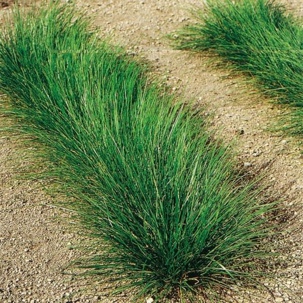 ※メーカーより直送品となります。当店から出荷される商品と一緒に購入された場合別途送料が発生致しますご了承ください。有効期限最低3カ月以上の商品を発送させていただきます。それ以下の期限になる場合、当店よりメールまたはお電話にてご連絡させていた...