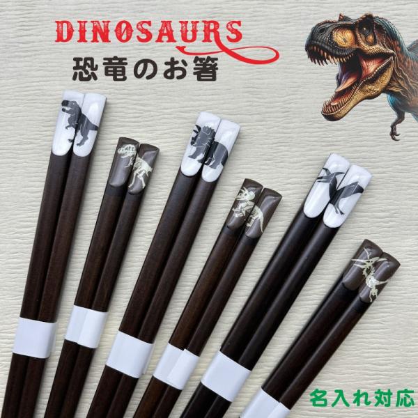【DINOSAURS 恐竜のお箸】箸 名入れ箸 １膳 大人 こども プレゼント