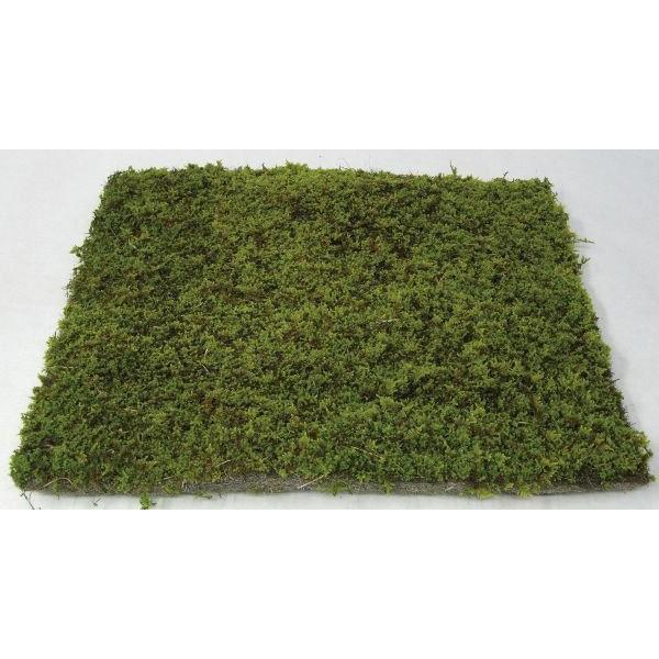 緑化に特化させた苔マットです。乾燥時の美化とヒートアイランド現象に効果があります。■植物カテゴリー ：マット施工しやすい形になった機能的なグランドカバーです。苔を敷き詰めた”緑の絨毯”。少しあしらうだけで和の雰囲気を醸し出します。苔マットは...