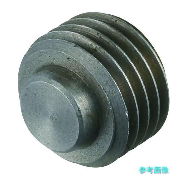 メーカー：(株)ベッセル在庫状況：仕入先取寄せ品納期：お支払い確認後、4営業日以内出荷予定（欠品時は早急にご連絡いたします。）用途：●GT-PLR用。仕様：●全長(mm)：9●本体寸法(mm)：9×9×7●部品番号：31