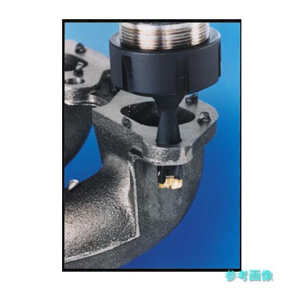 メーカー：イスカルジャパン(株)在庫状況：仕入先在庫品納期：お支払い確認後、3営業日以内出荷予定（欠品時は早急にご連絡いたします。）商品特長：●新開発の超微粒子TiAINPVDコーティングは被削材を選ばず長い工具寿命と安定した加工ができます...