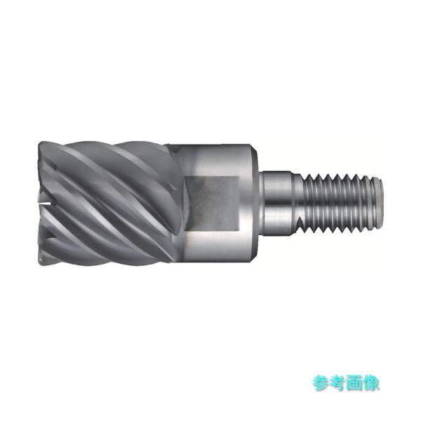 メーカー：ダイジェット工業(株)在庫状況：仕入先取寄せ品納期：お支払い確認後、4営業日以内出荷予定（欠品時は早急にご連絡いたします。）商品特長：●オール超硬シャンクアーバ『頑固一徹』用、オール超硬・ラジアスタイプモジュラーヘッドです。●一般...