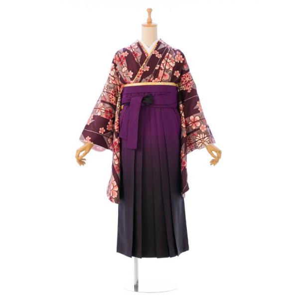 ☆卒業袴　レンタルセット☆茶色の矢絣に桜菊　FROM KYOTOR0104_E-H054-23-7【対応身長・洋服サイズ】■草履使用:148〜153cm前後■洋服サイズ：7号〜13号くらいまで■裄:約68cm　袴丈:約87cm■色/柄　着物...